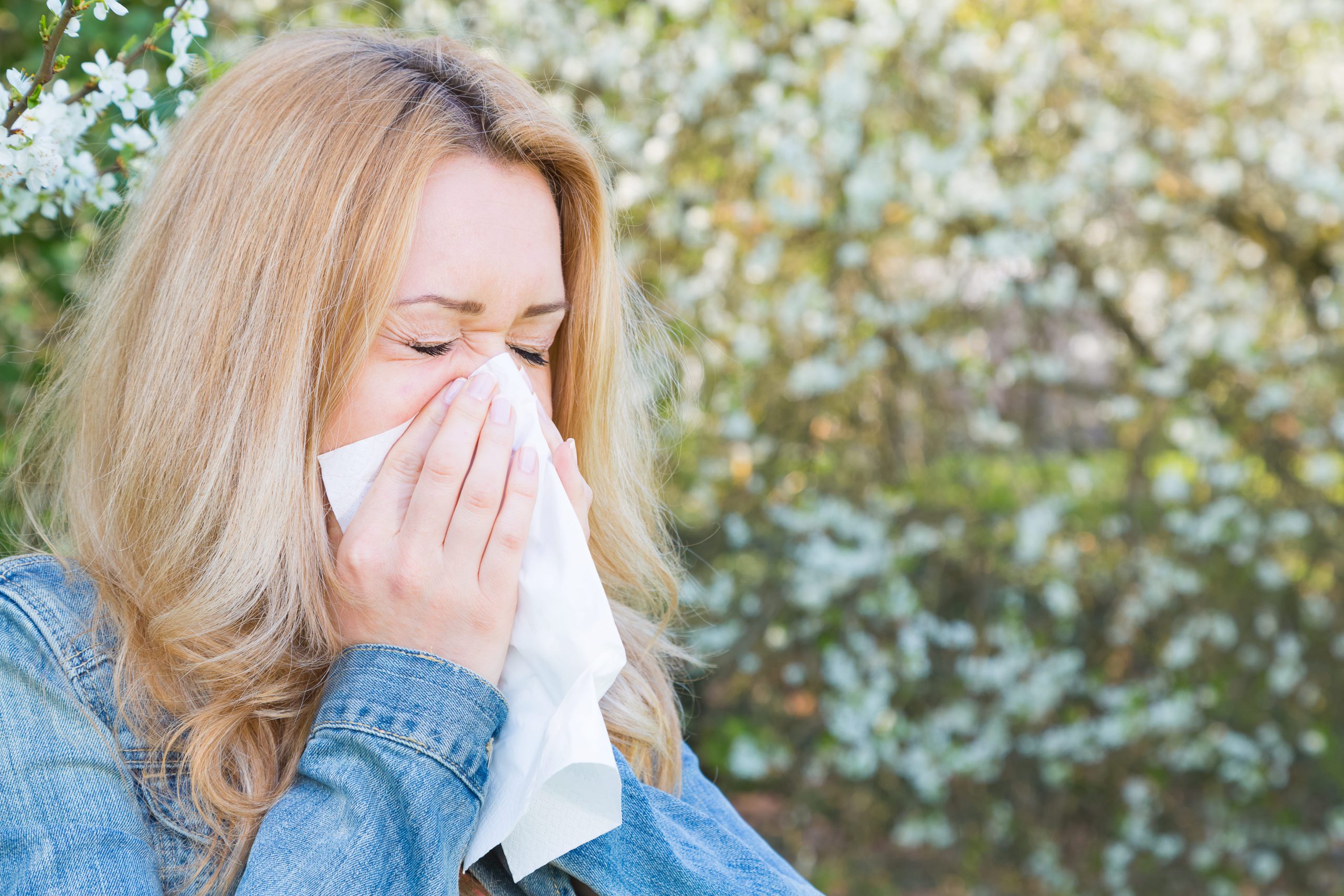 Charleston Ranked 26th Worst for Fall Allergies