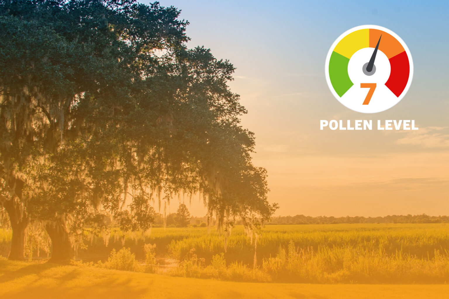 Charleston Allergy & Asthma | Board Certified Allergists Charleston, SC